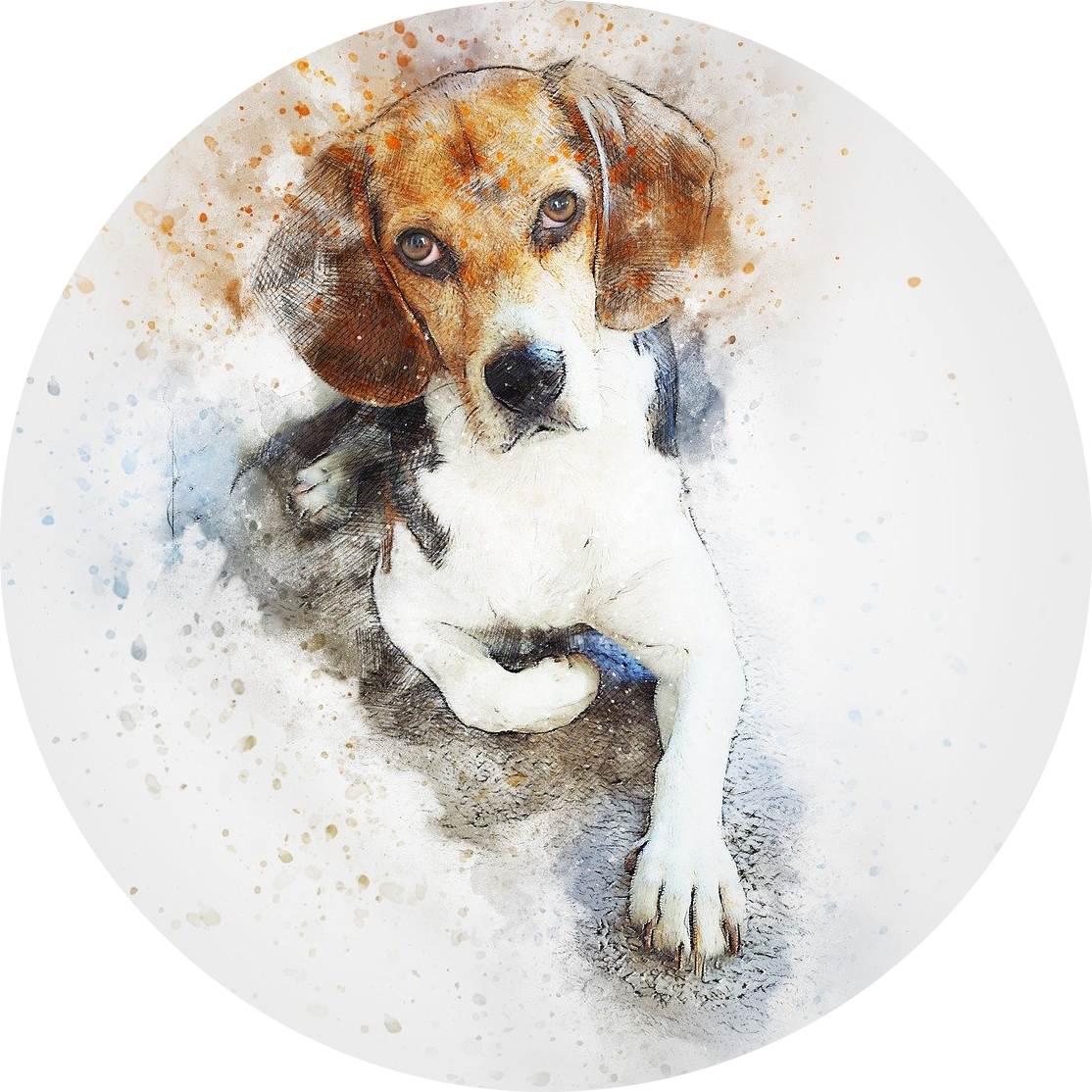 Midwest BREW - Beaglefest Annual Fundraising Event